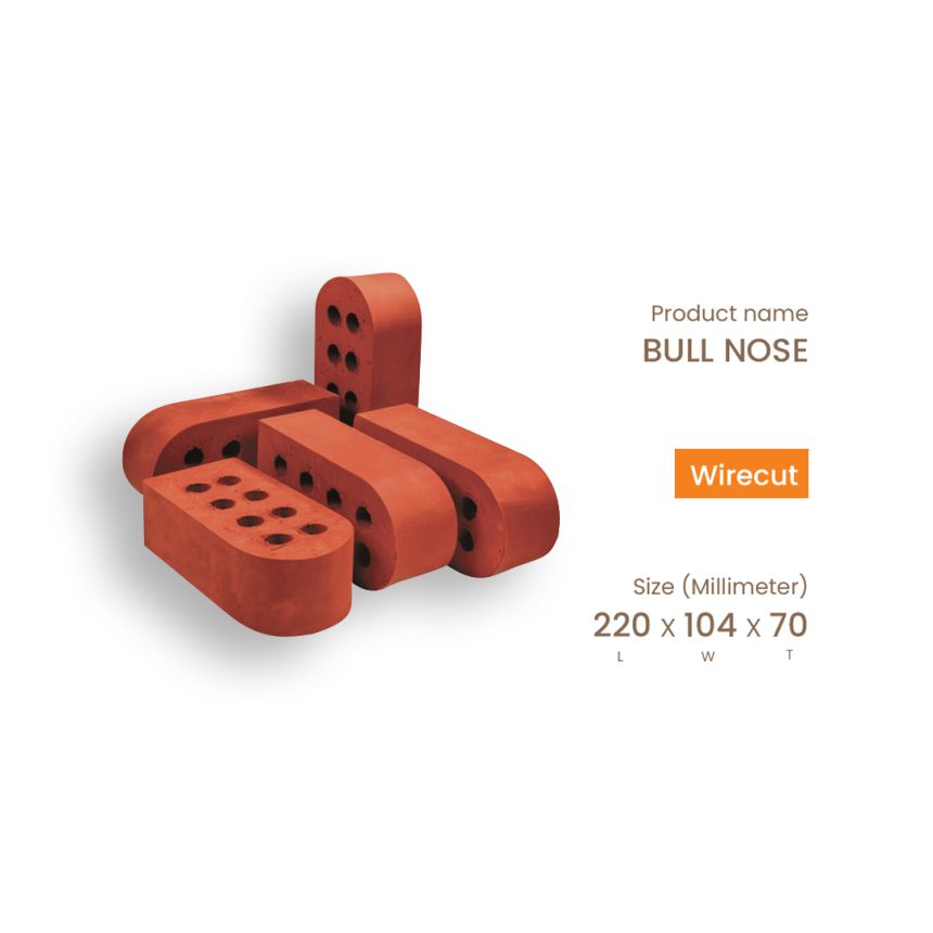 Bull Nose - Tiles | Tiles Shop Near Me | Buy Tiles Online | Dimension ...